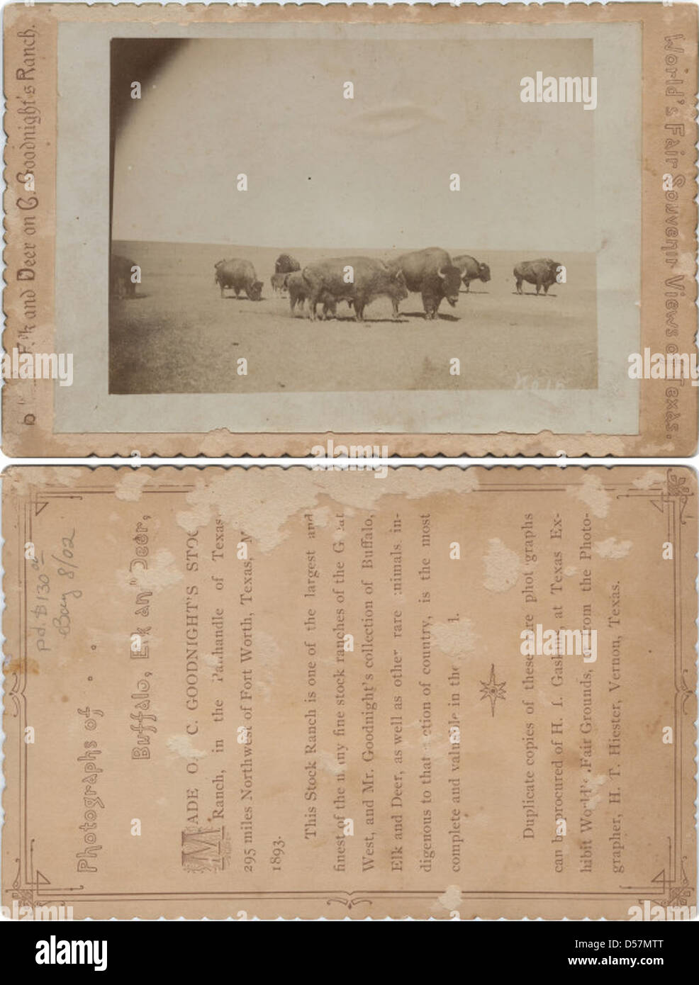 Goodnights High Resolution Stock Photography and Images - Alamy