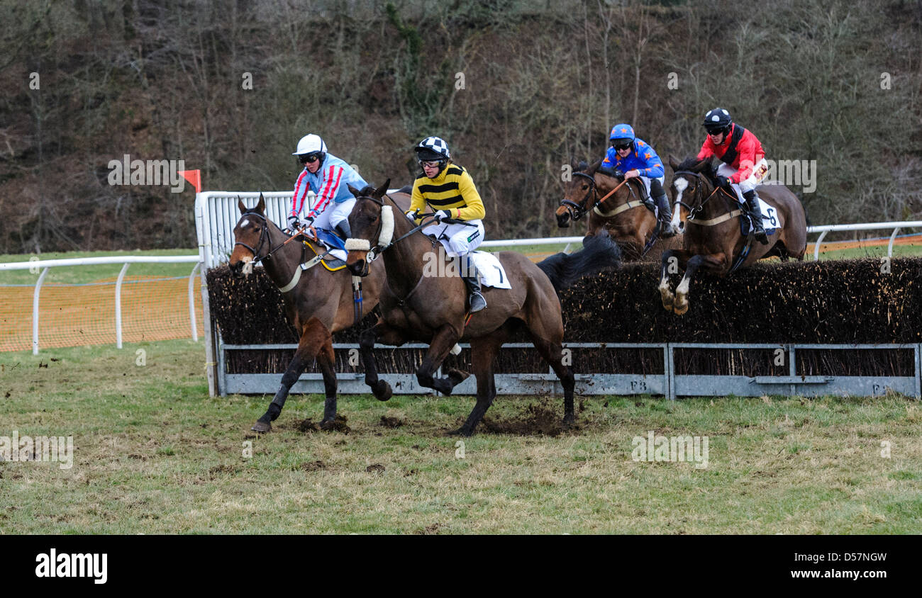 Point to Point racing at Overton Farm South Lanarkshire Scotland Stock ...