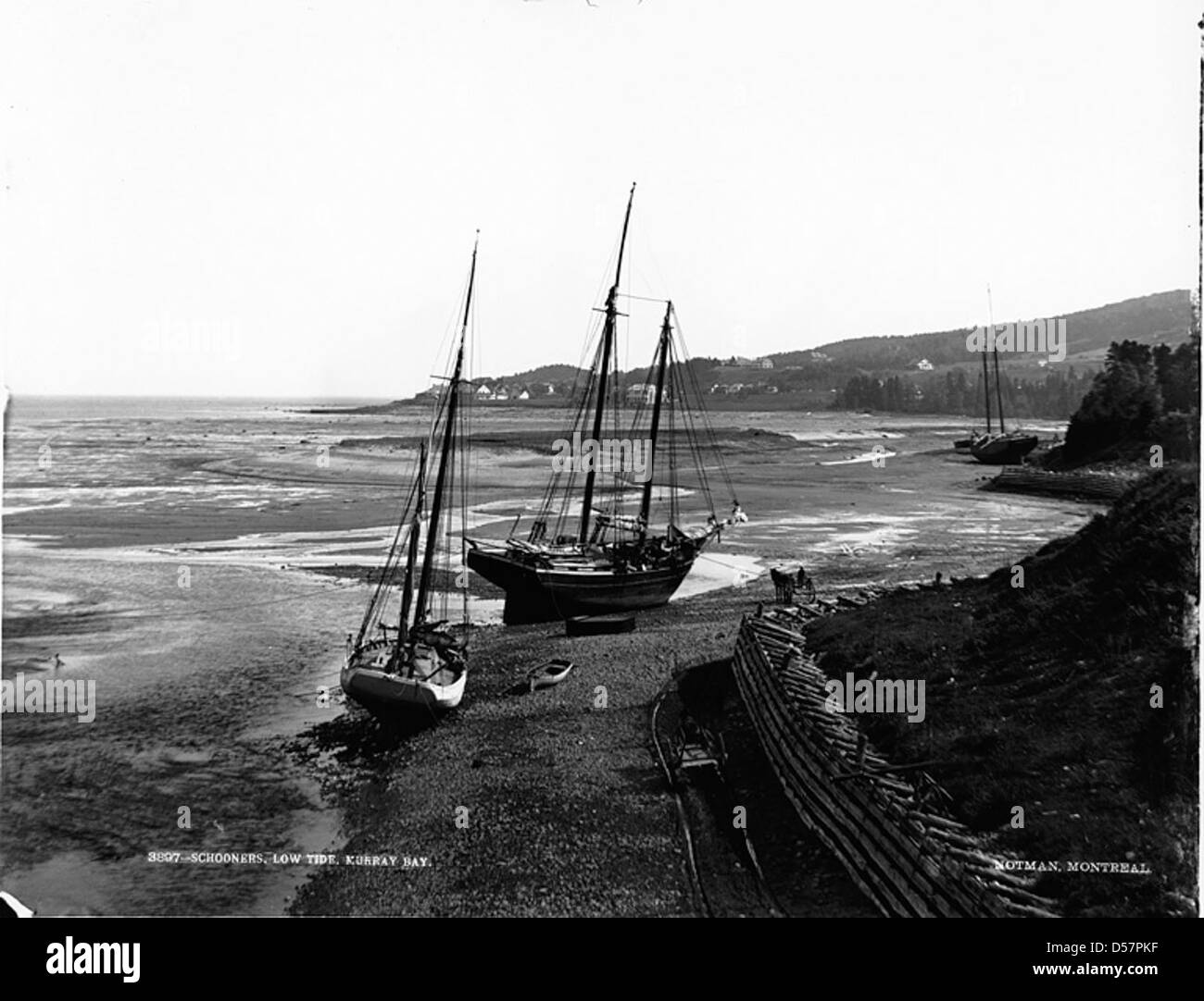 A photograph from around 1895 showing schooners stranded at low tide in ...