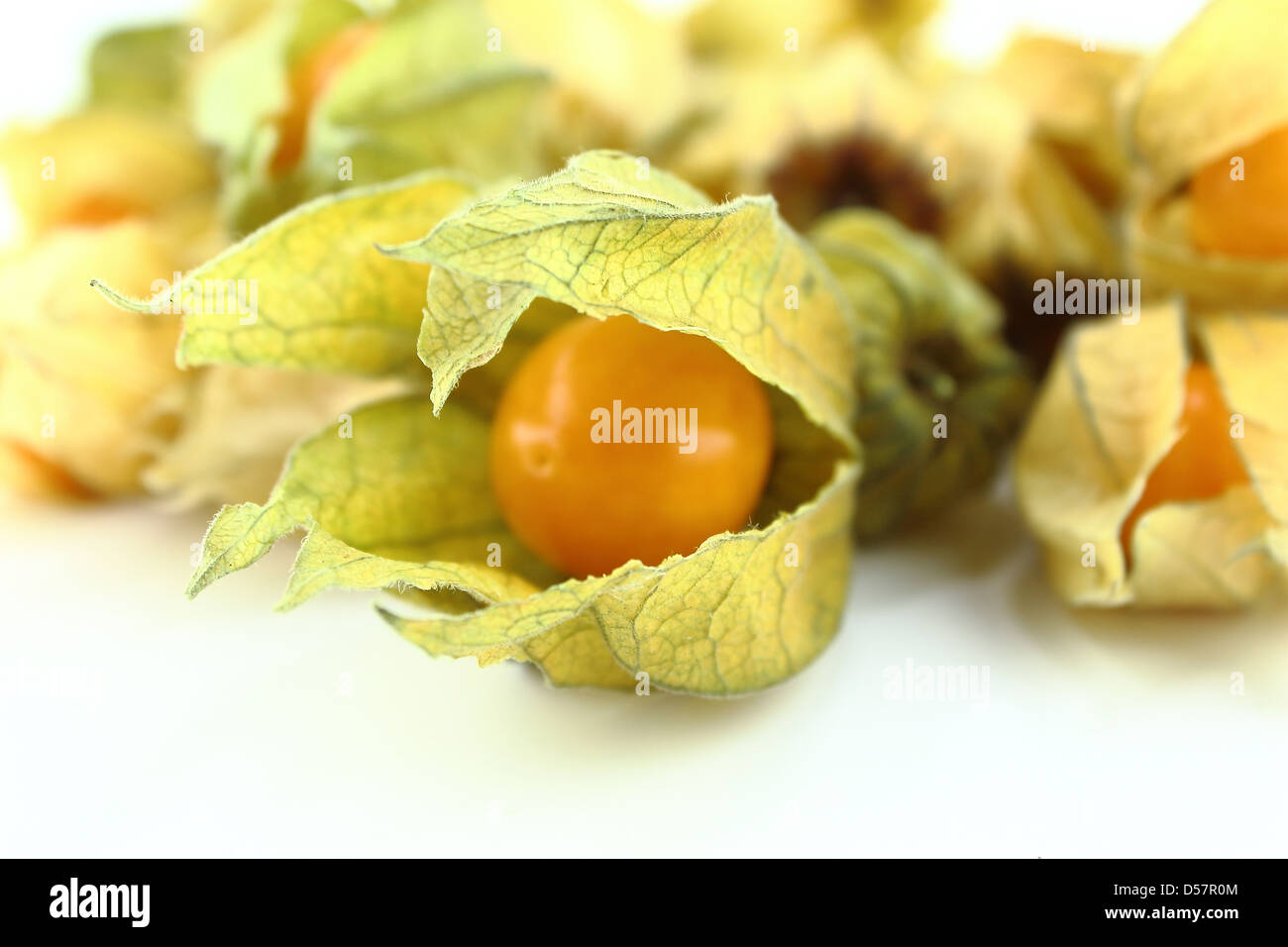 Cape gooseberry, physalis isolated on white background Stock Photo - Alamy