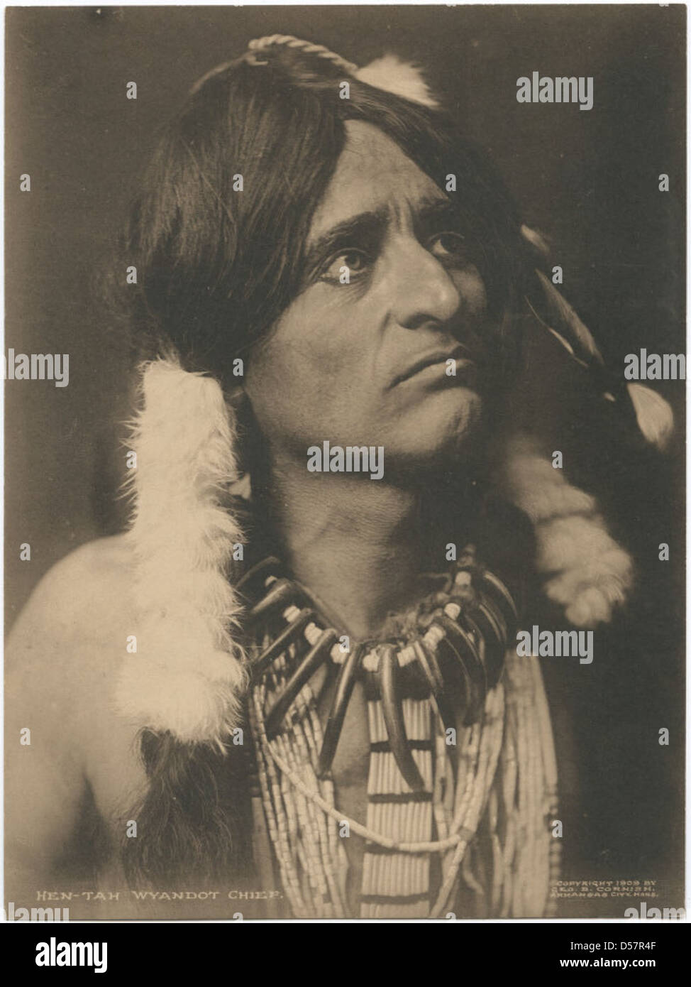 Wyandot hi-res stock photography and images - Alamy