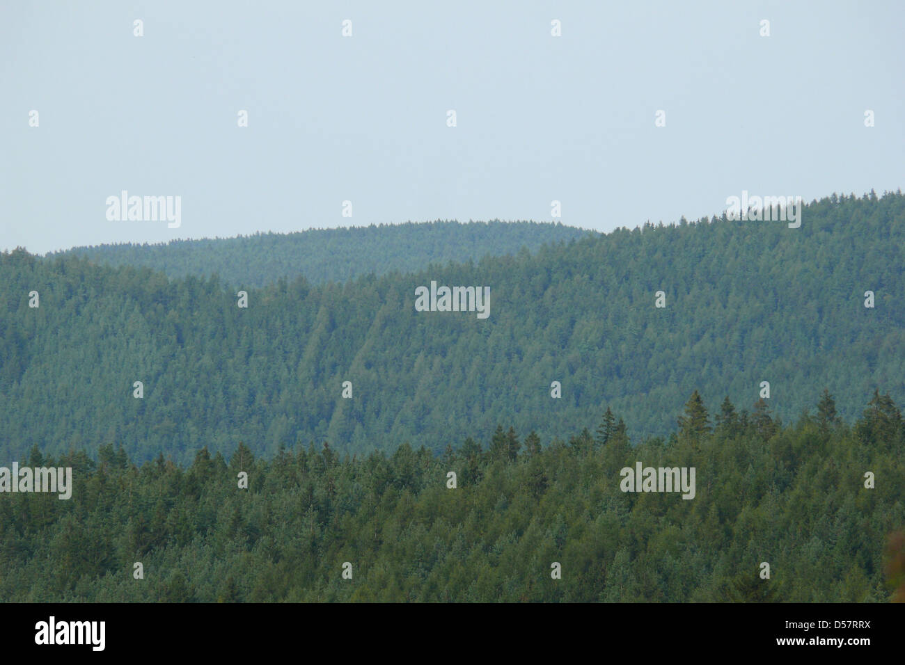 A swastika hi-res stock photography and images - Alamy