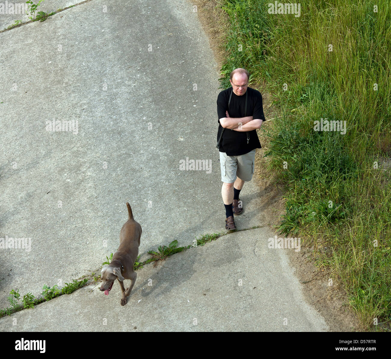 Poznan, Poland, man leads his dog for a walk Stock Photo - Alamy