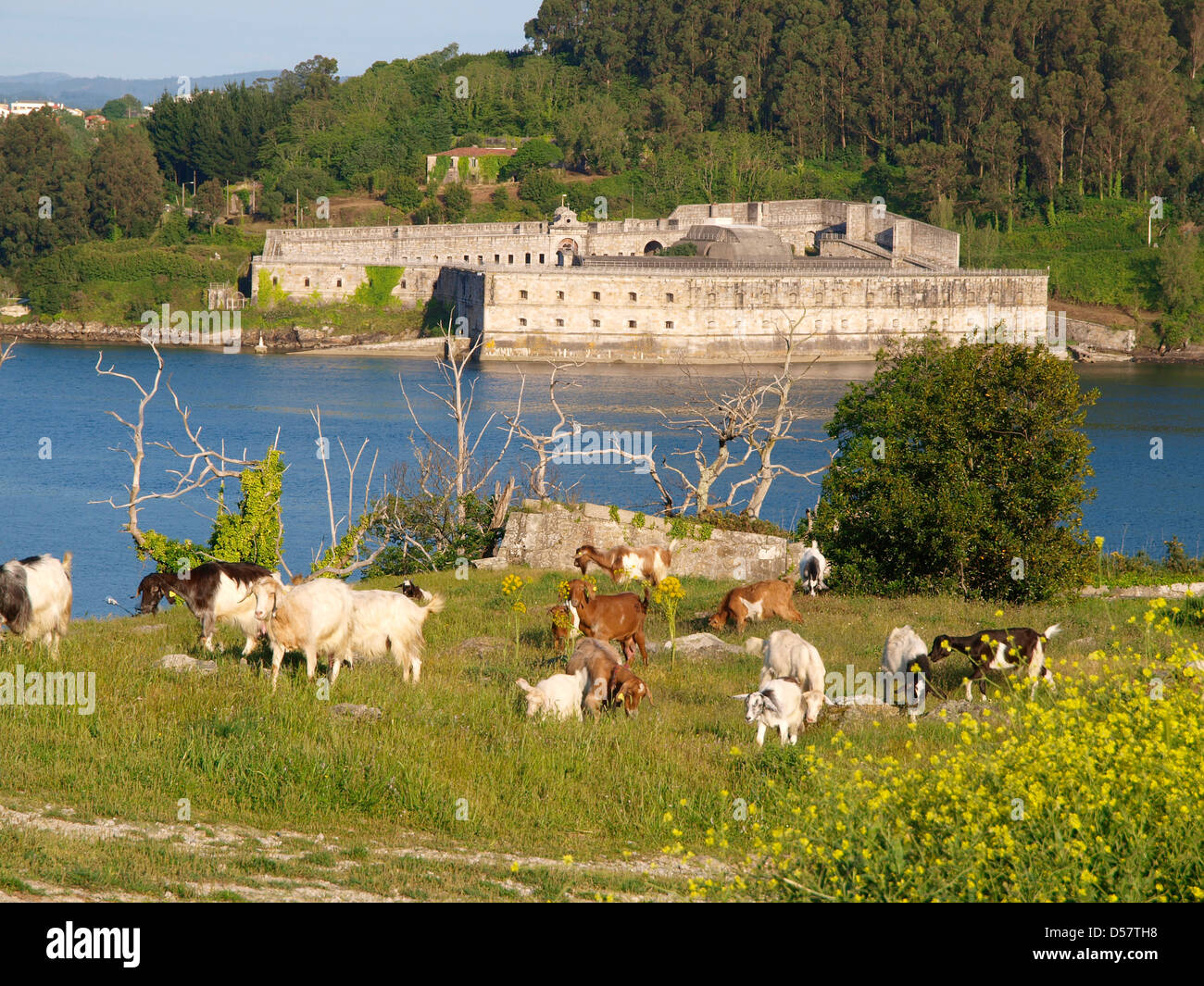 Ferrol galicia hi-res stock photography and images - Alamy