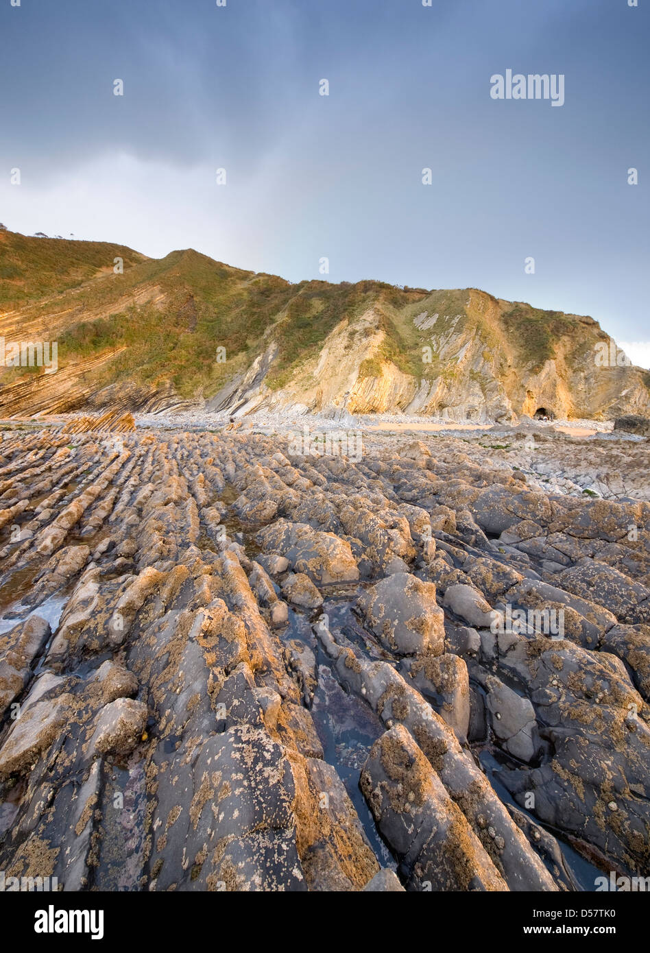 Flysch sediment hi-res stock photography and images - Alamy