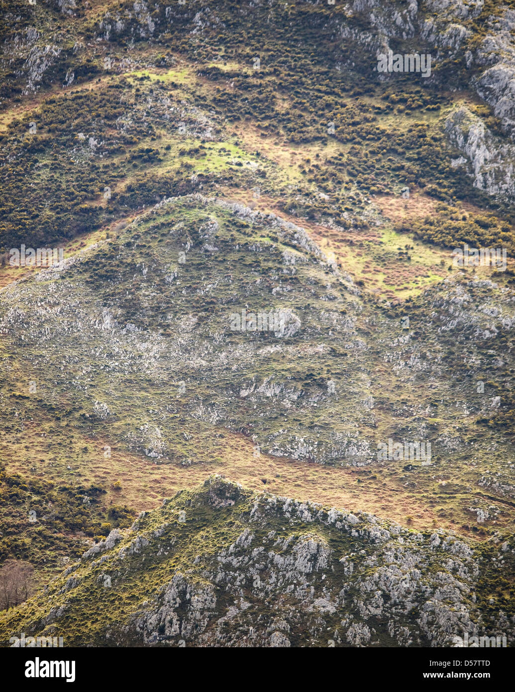 Mountain in nature hi-res stock photography and images - Alamy