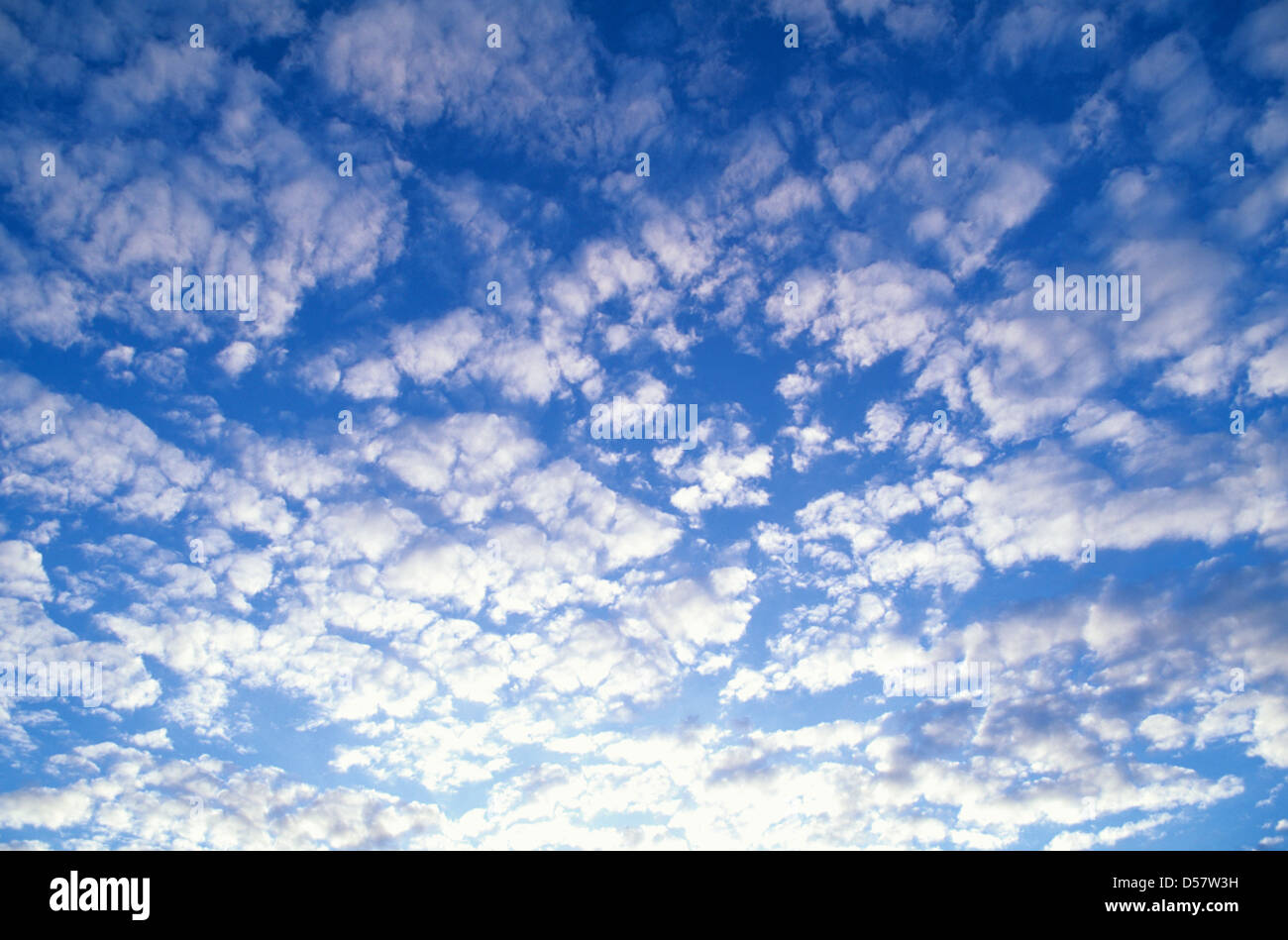 cloud sky [for backgrounds] Hawaii Stock Photo - Alamy