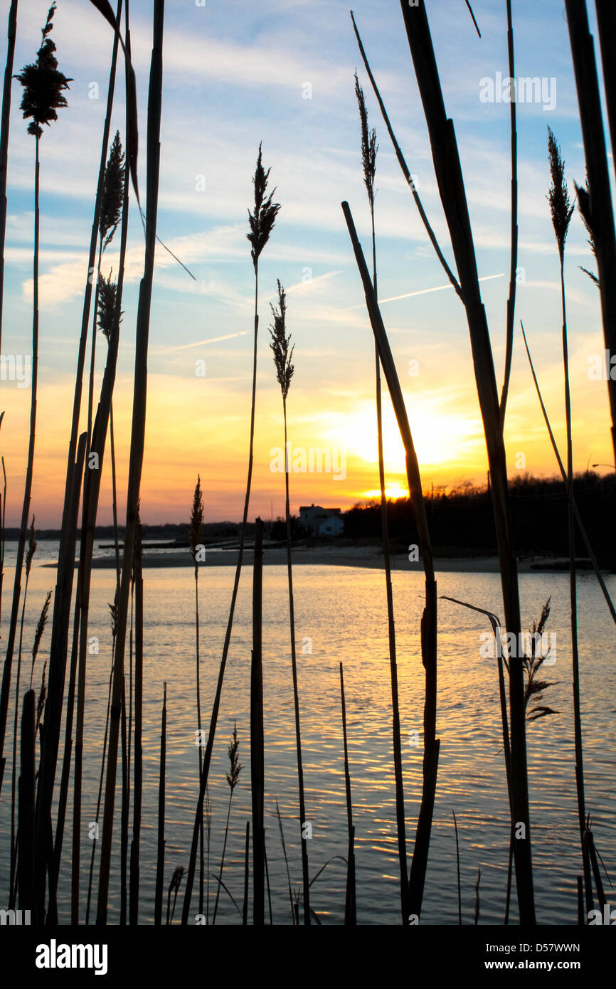 Silhouette of a Pond Stock Photo - Alamy