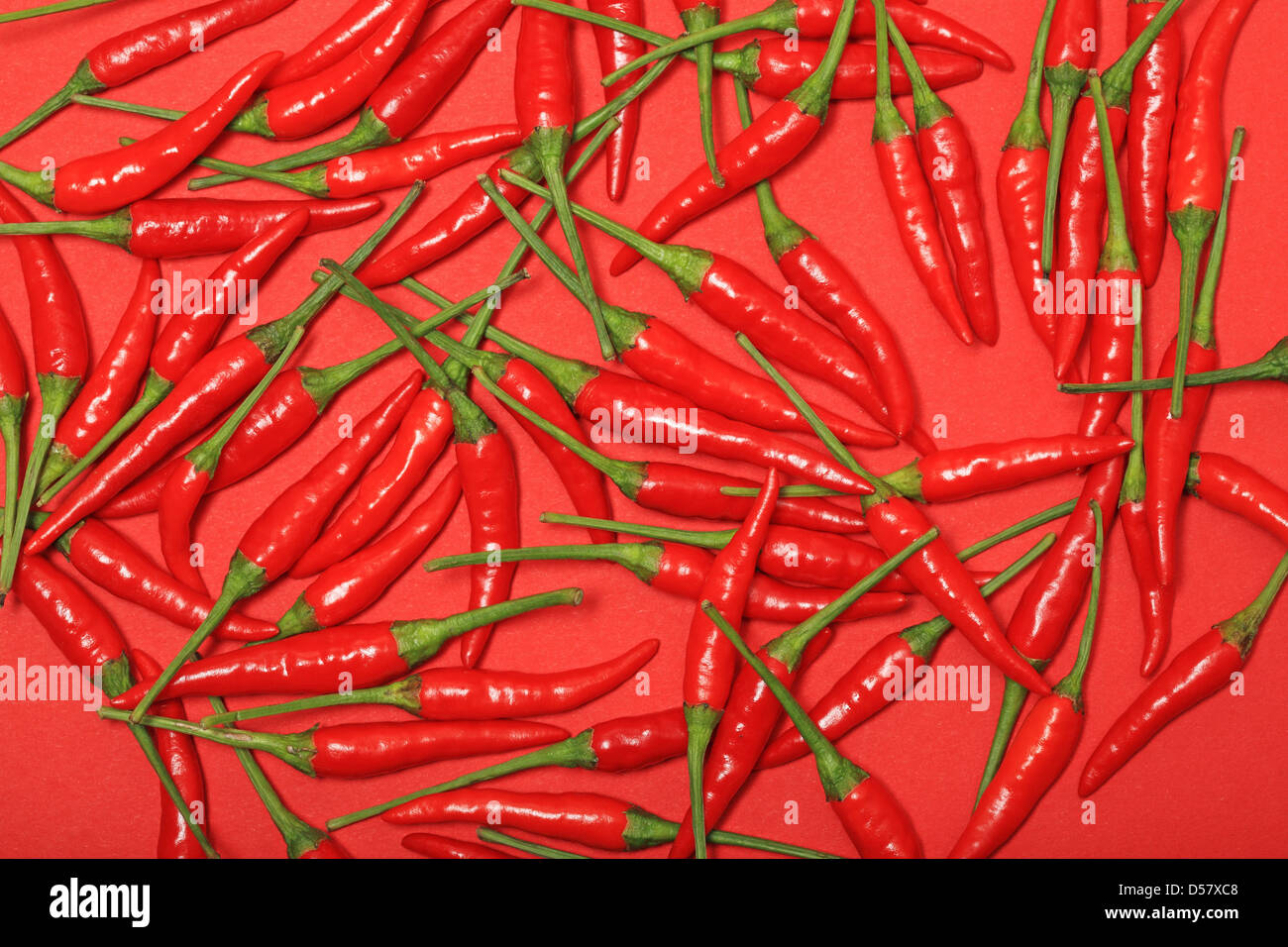 Red hot chili peppers on red background Stock Photo - Alamy