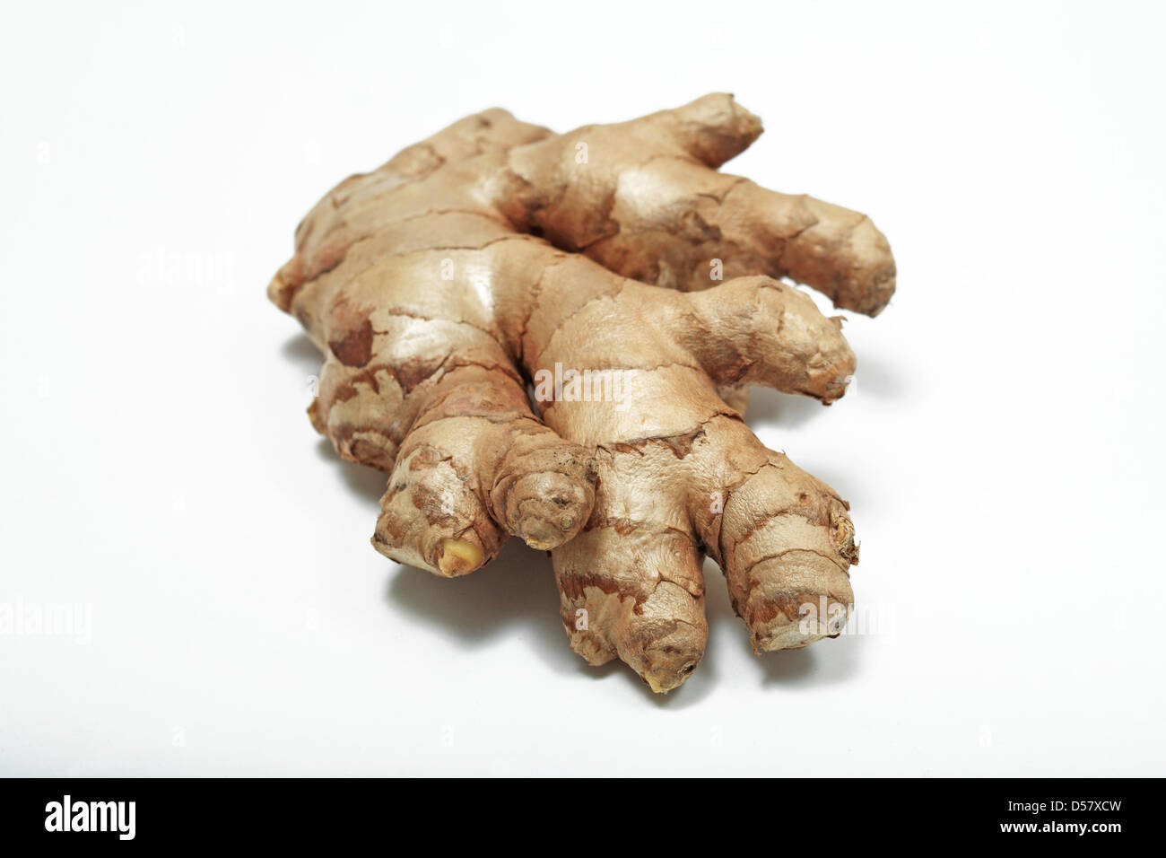 Ginger cut hi-res stock photography and images - Alamy