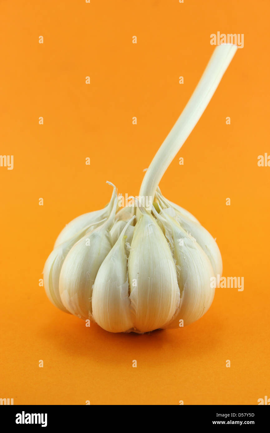 Garlic and garlic bulb on orange background Stock Photo - Alamy
