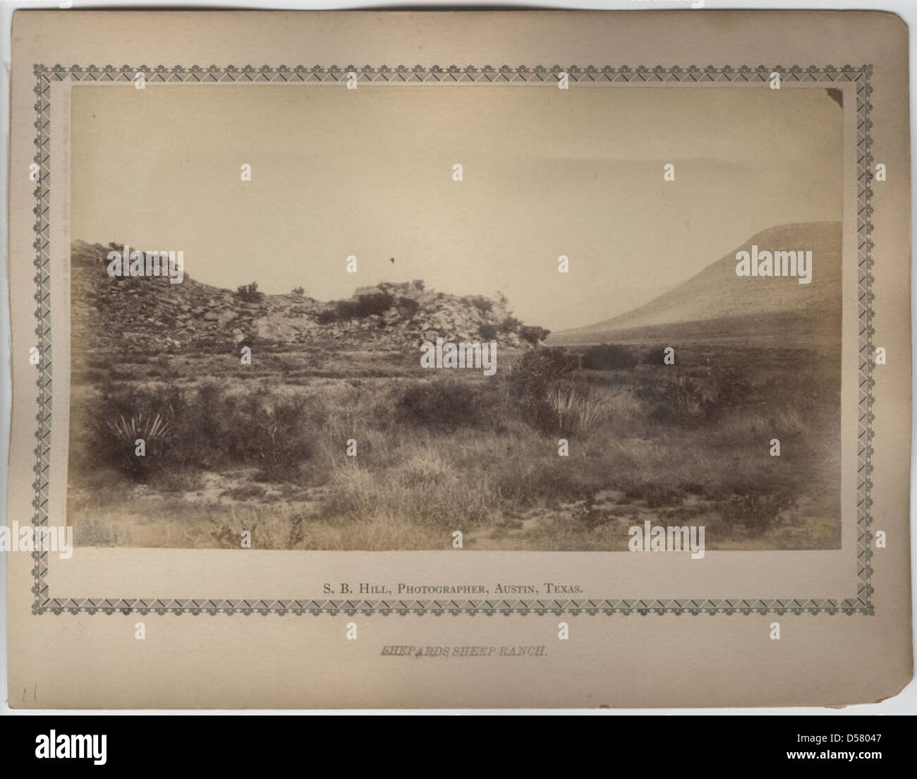 Shepard’s Sheep Ranch in Texas, a significant establishment in the U.S ...