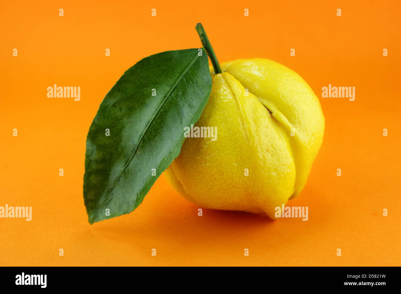 yellow ripe lemon with leaf over the orange background Stock Photo - Alamy