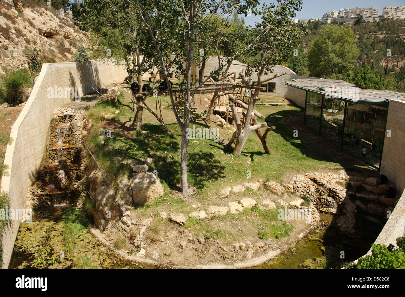 Monkey pen hi-res stock photography and images - Alamy