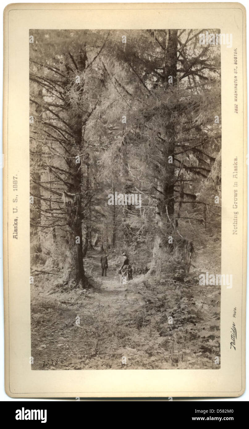 A historical photograph of the rugged Alaskan wilderness, showing ...
