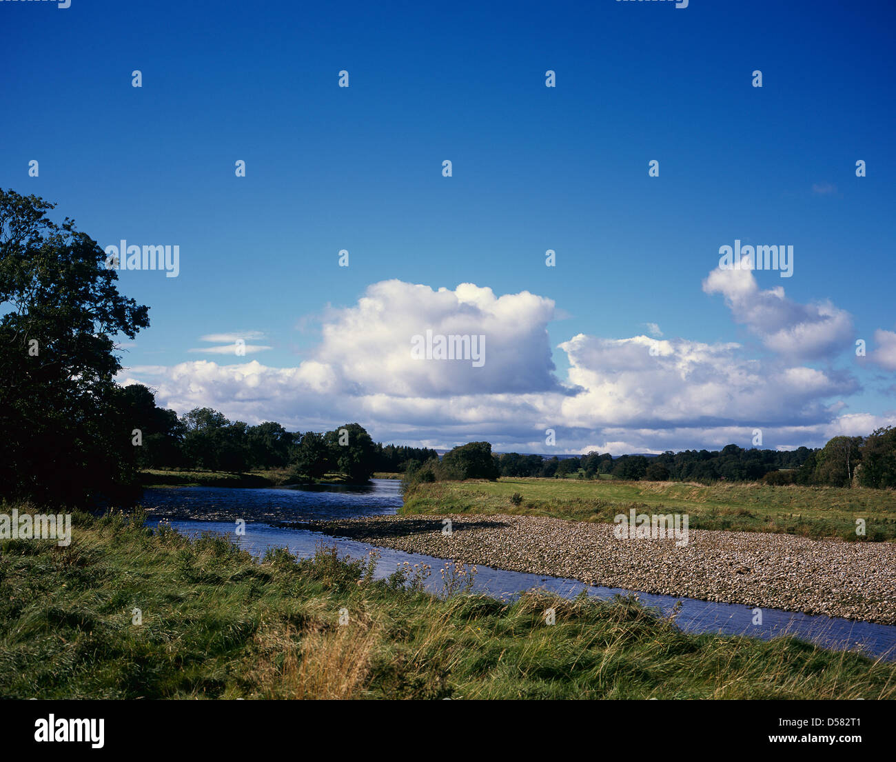 The River Ure flowing through the lower part of Wensleydale near to ...