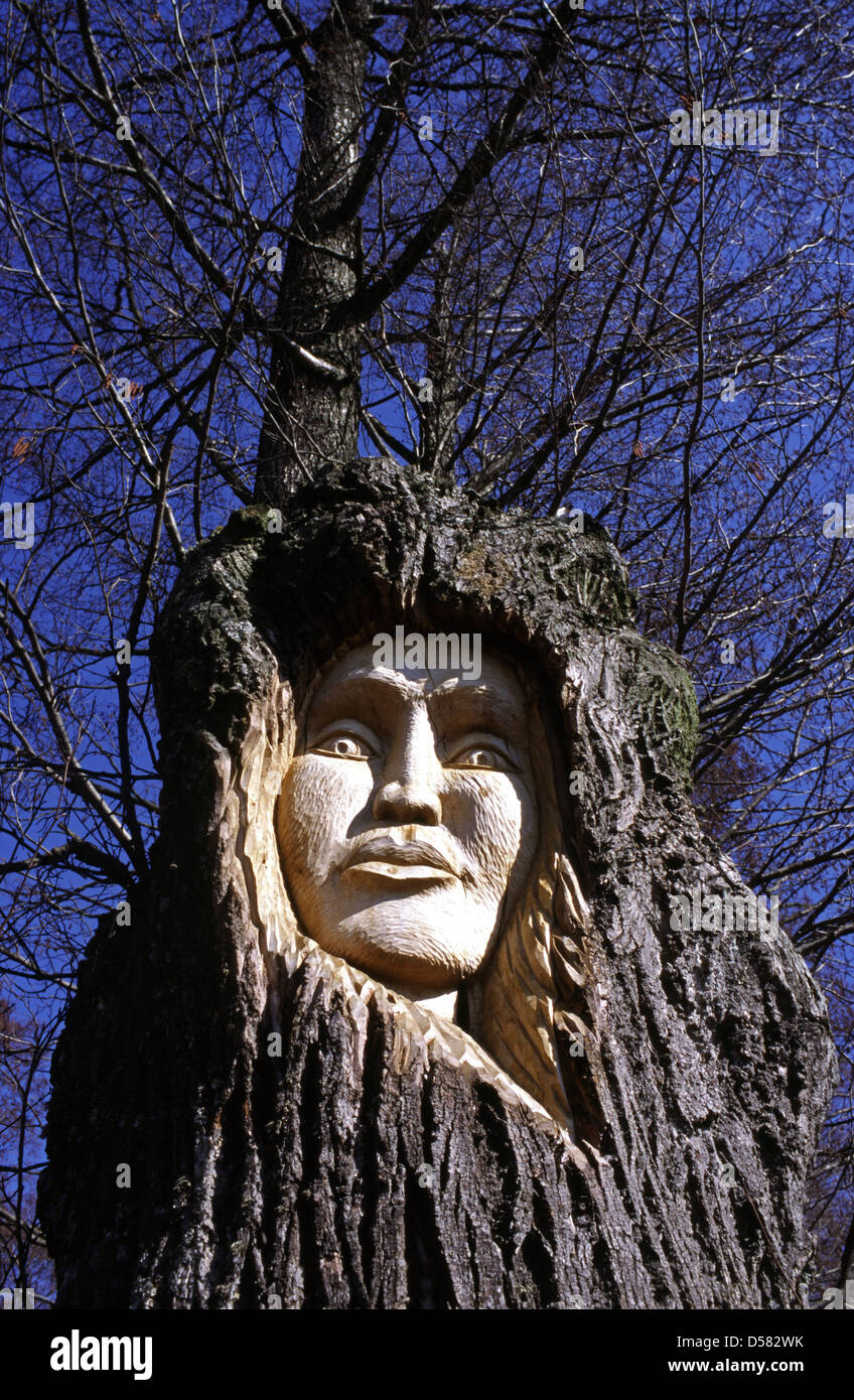 Carved trunk of a tree root Poland Stock Photo - Alamy