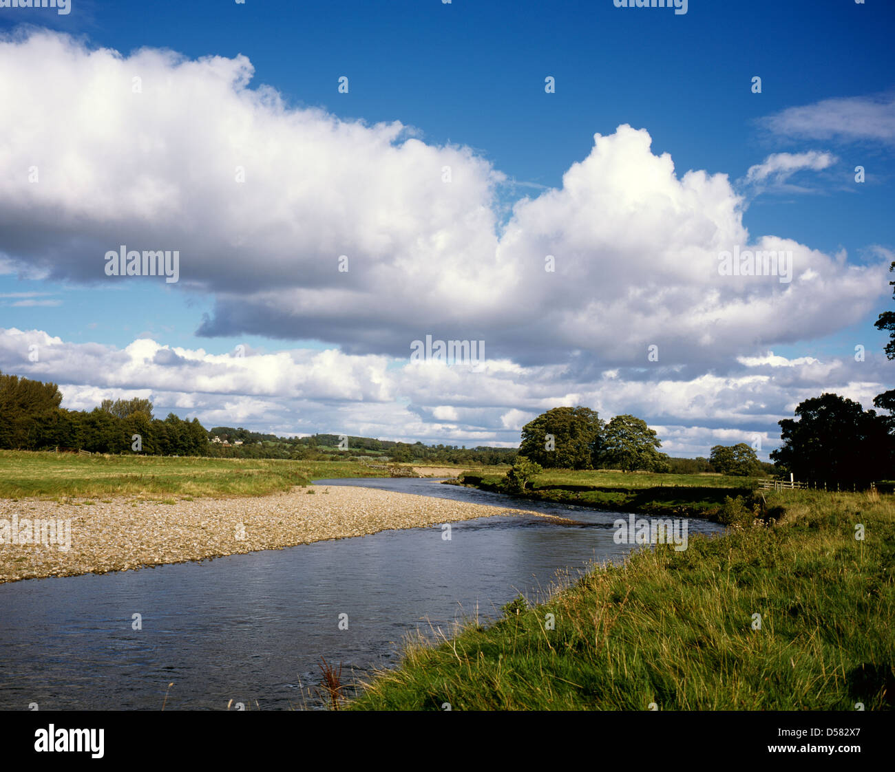 The River Ure flowing through the lower part of Wensleydale near to ...