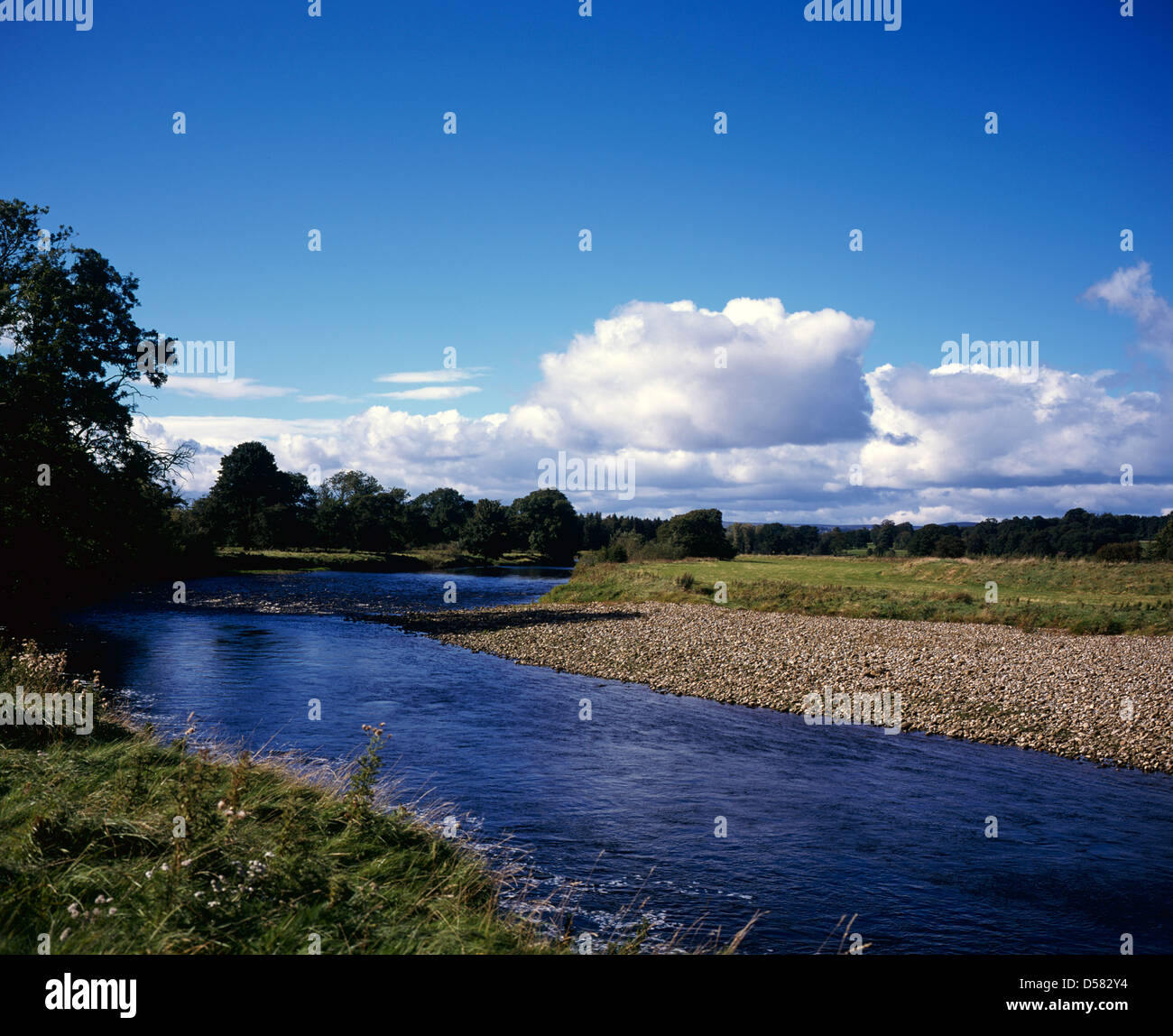 The River Ure flowing through the lower part of Wensleydale near to ...