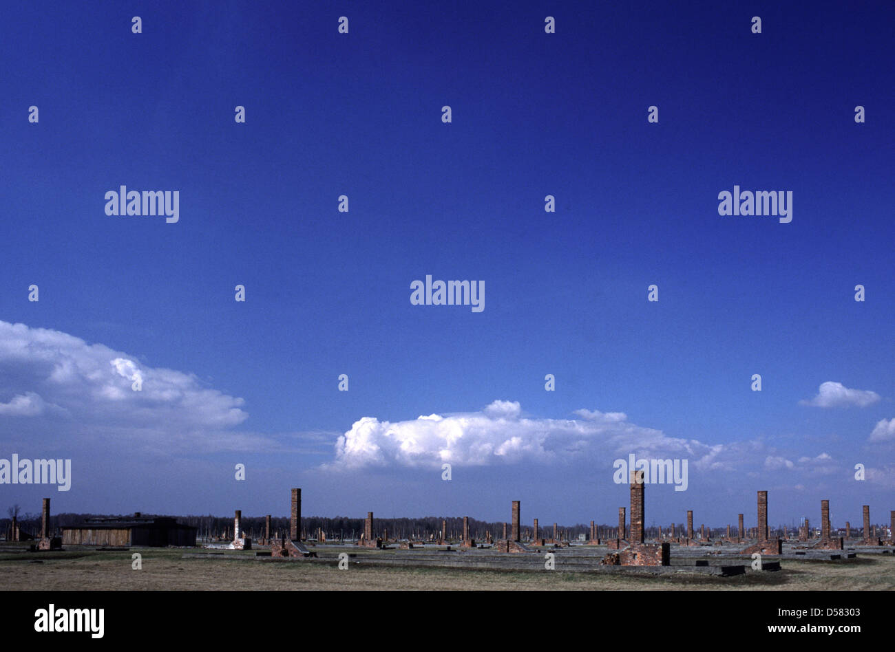 Women concentration camp hi-res stock photography and images - Alamy