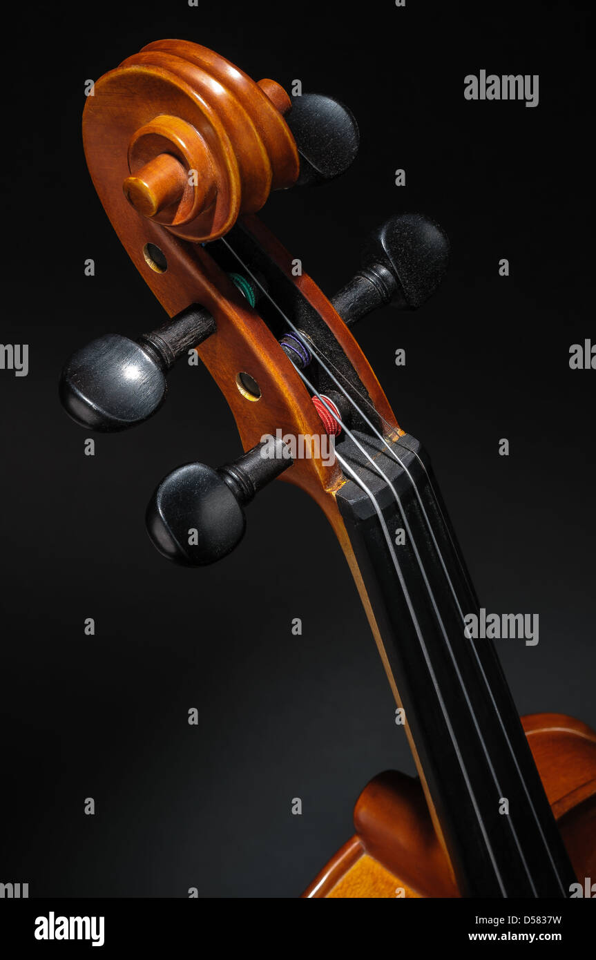 Neck violin hi-res stock photography and images - Alamy
