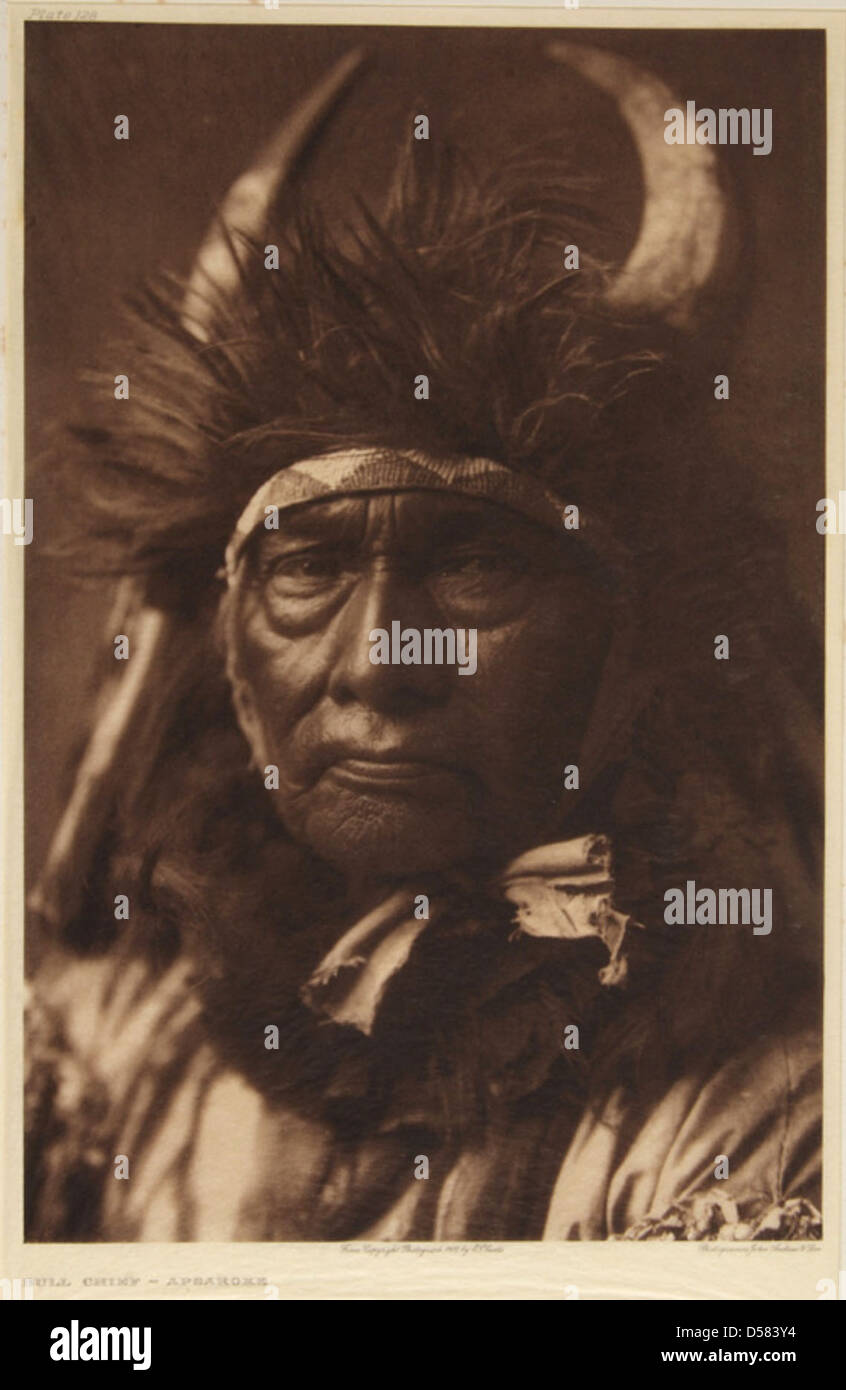 A portrait of Bull Chief, an Apsaroke (Crow) Native American man, taken ...