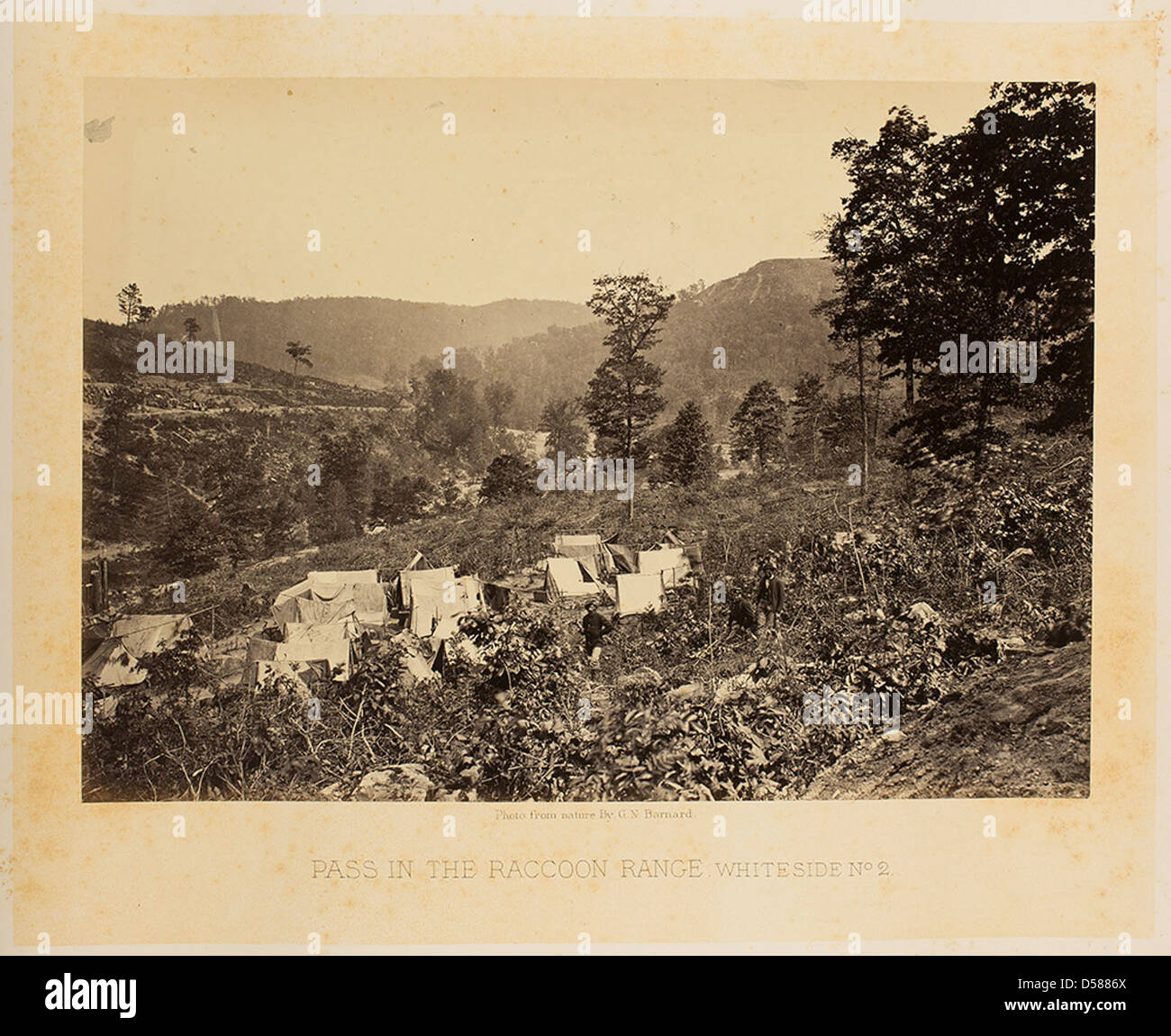 Raccoon Range High Resolution Stock Photography and Images - Alamy