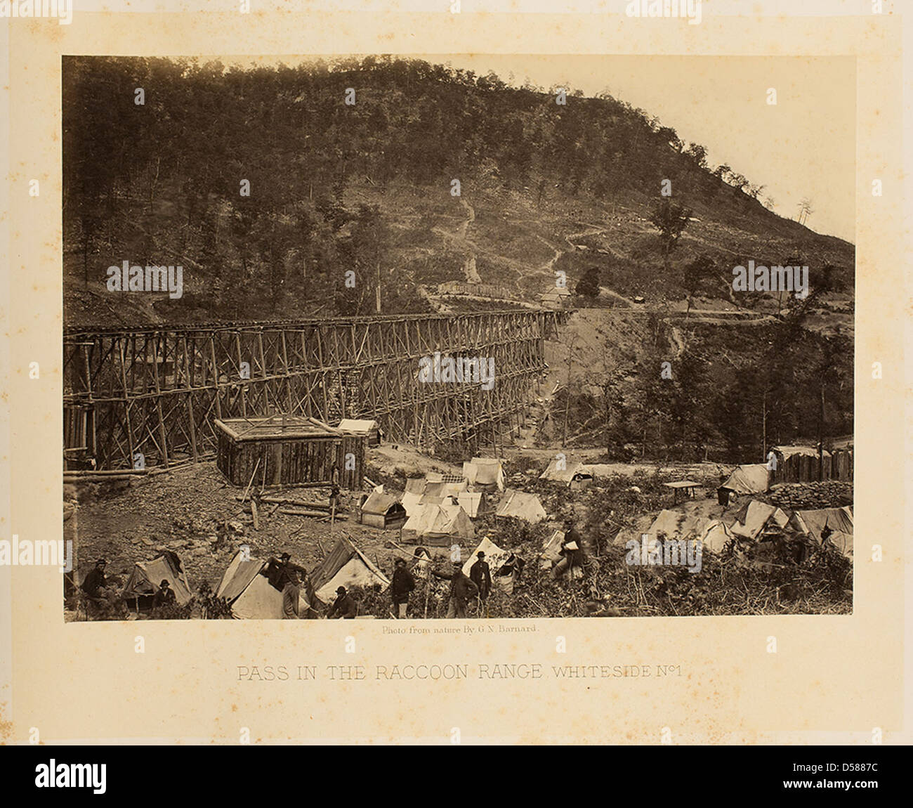 Raccoon Range High Resolution Stock Photography and Images - Alamy