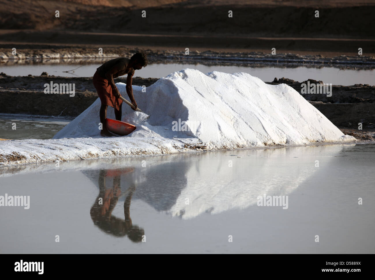 Collecting salt hi-res stock photography and images - Alamy