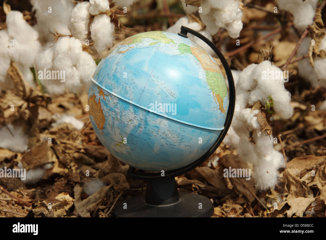 Cotton map hi-res stock photography and images - Alamy