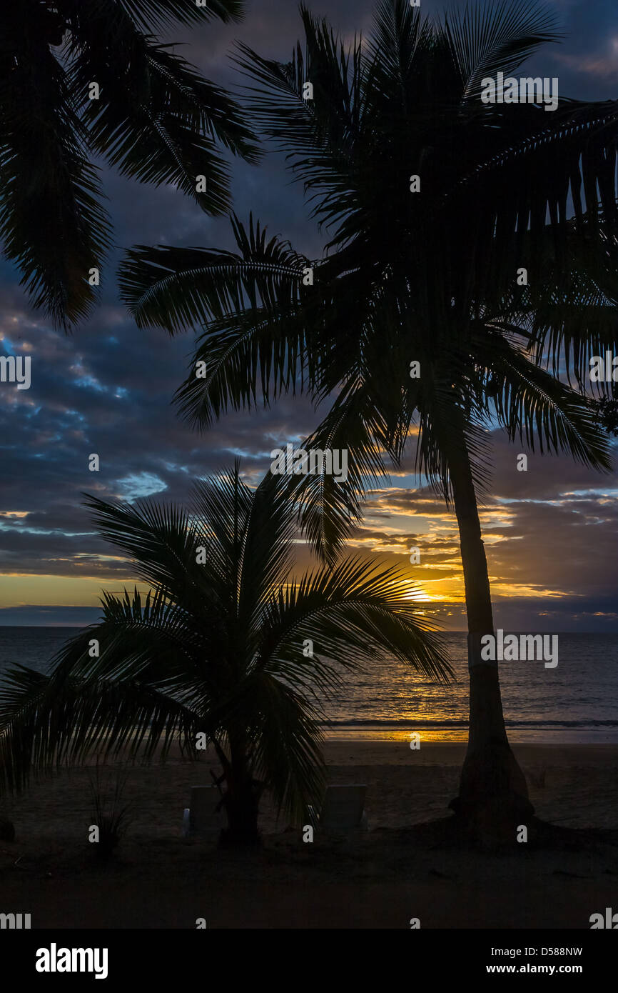 Sunset on palm trees in Nosy Be island, northern Madagascar Stock Photo ...