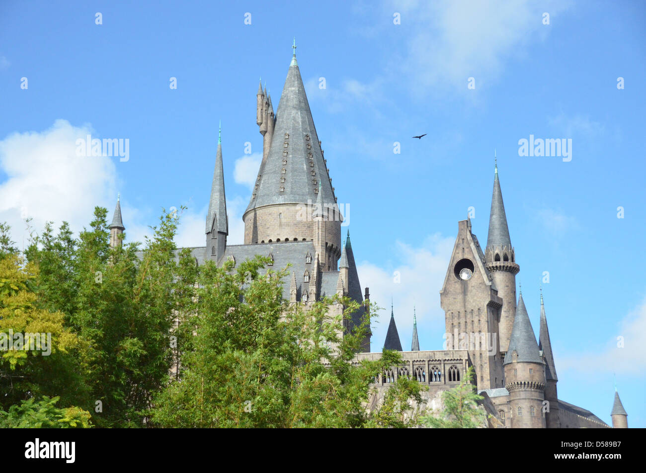 Hogwarts Castle, In The Wizarding World of Harry Potter, Islands of ...