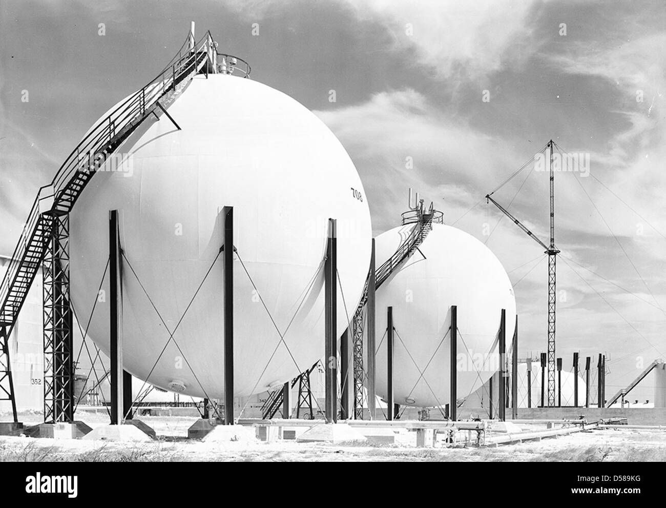 Iron and plant Black and White Stock Photos & Images - Alamy