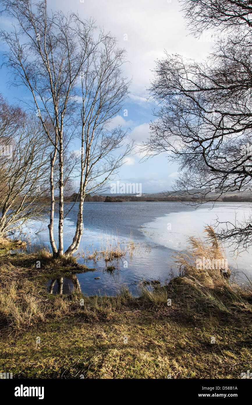 Scottish loch muir hi-res stock photography and images - Alamy