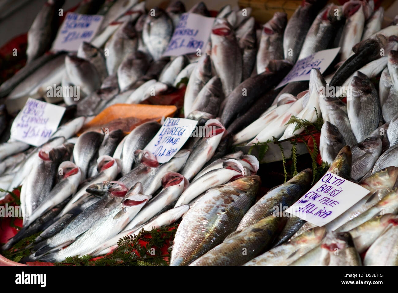 Fish market at karakoy hi-res stock photography and images - Alamy