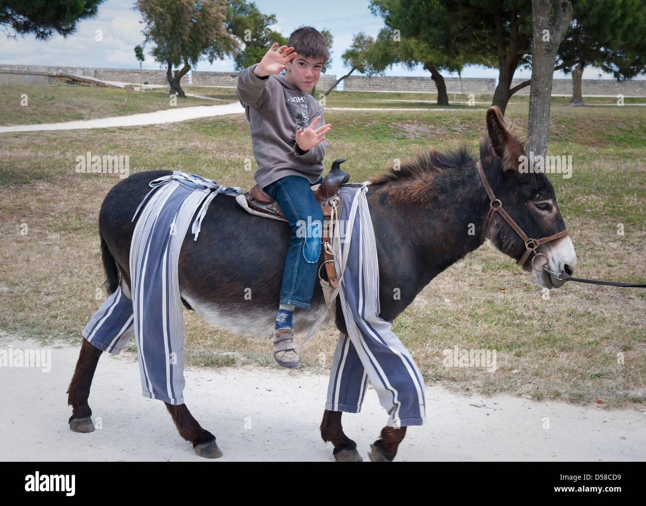 Donkey wearing pants, St Martin, Ile de Re, France Stock Photo - Alamy