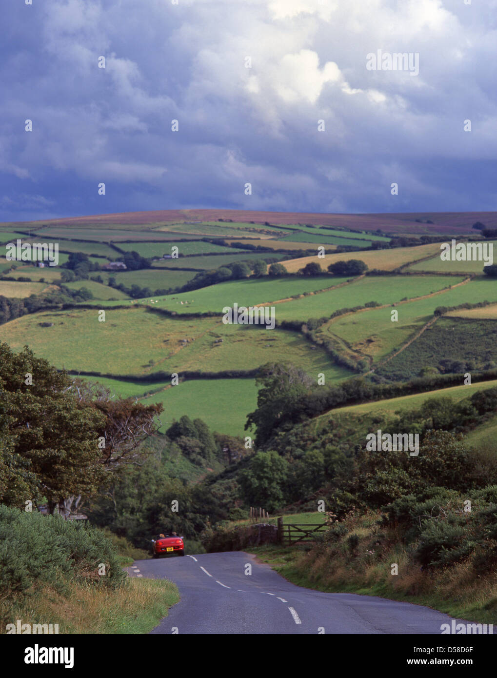 Road through Exmoor National Park, Devon, England, United Kingdom Stock ...