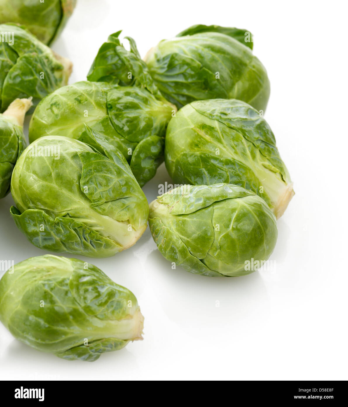 Brussels Sprouts On White Background Stock Photo - Alamy