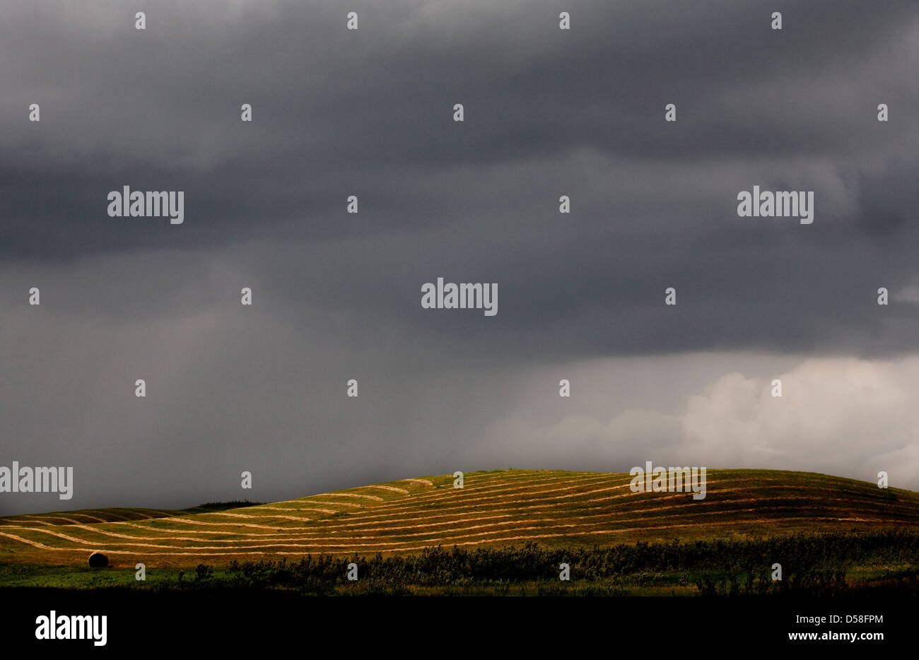 Storm Clouds Saskatchewan agriculture field prairie crop Stock Photo ...