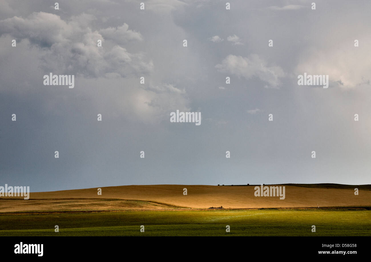 Storm Clouds Saskatchewan Canada prairie crop background Stock Photo ...