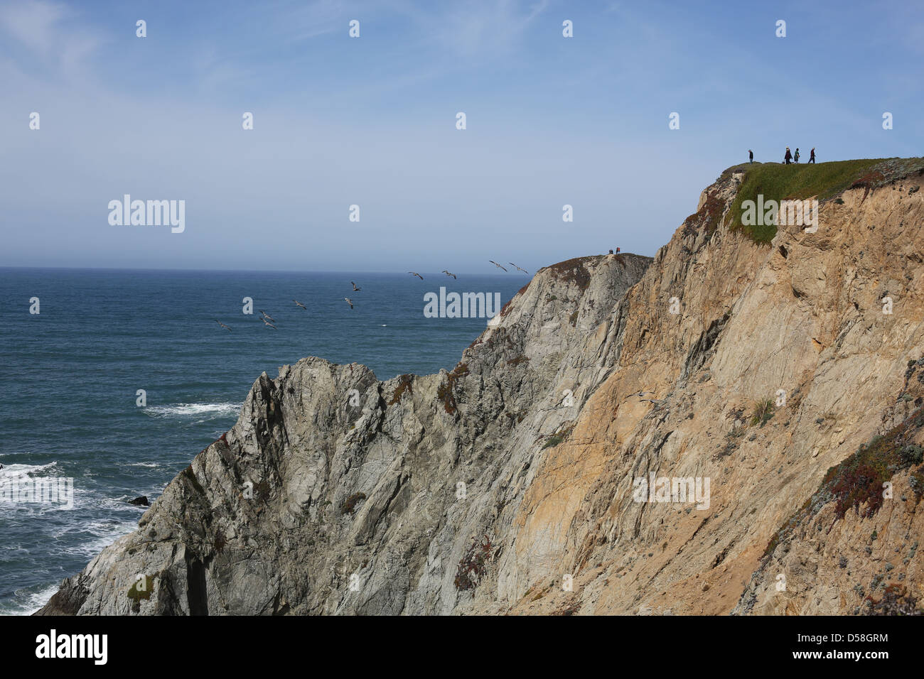 A trail at the top of a cliff at Bodega Head in Bodega Bay, California ...