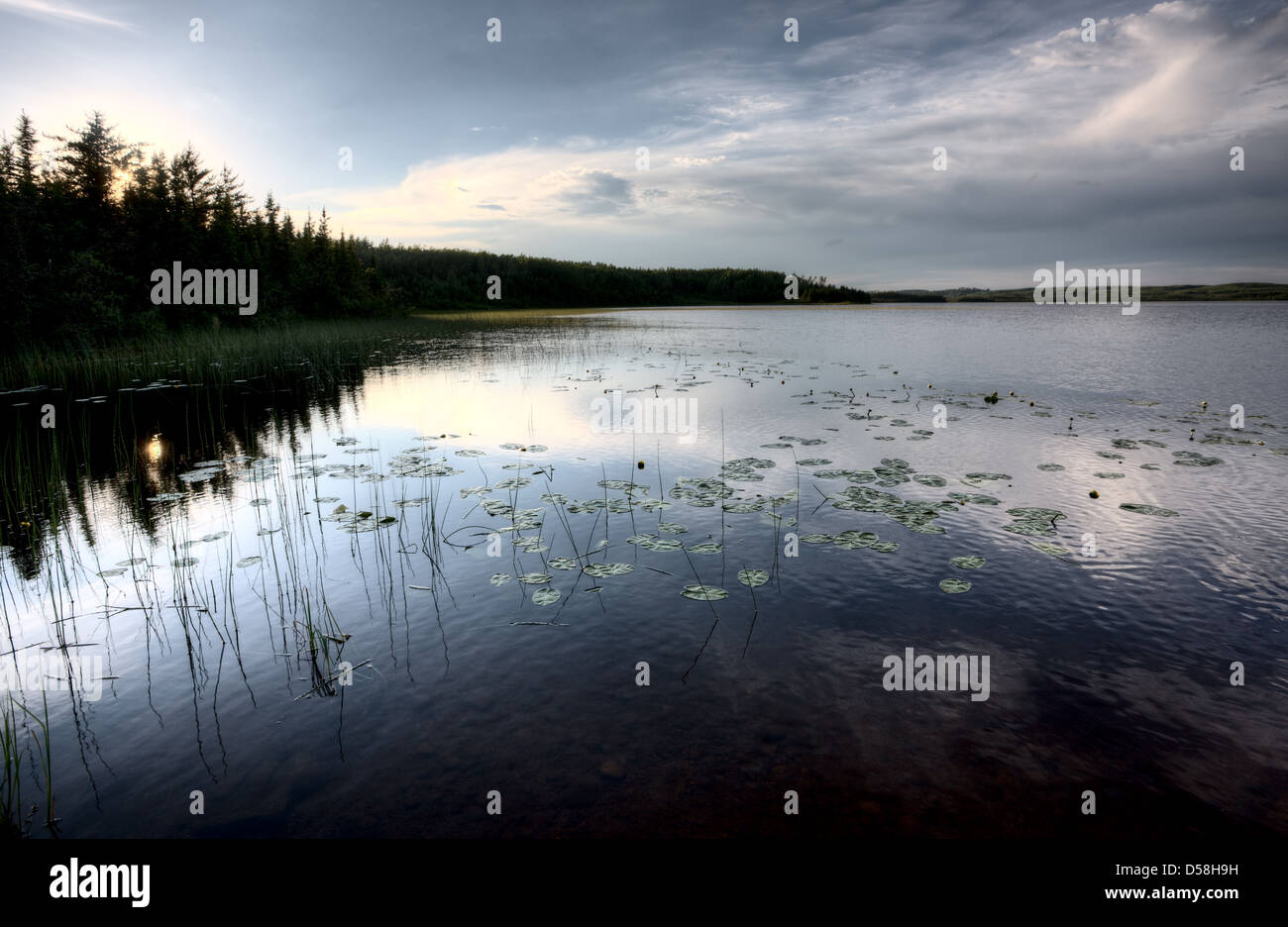 Northern lake saskatchewan hi-res stock photography and images - Alamy