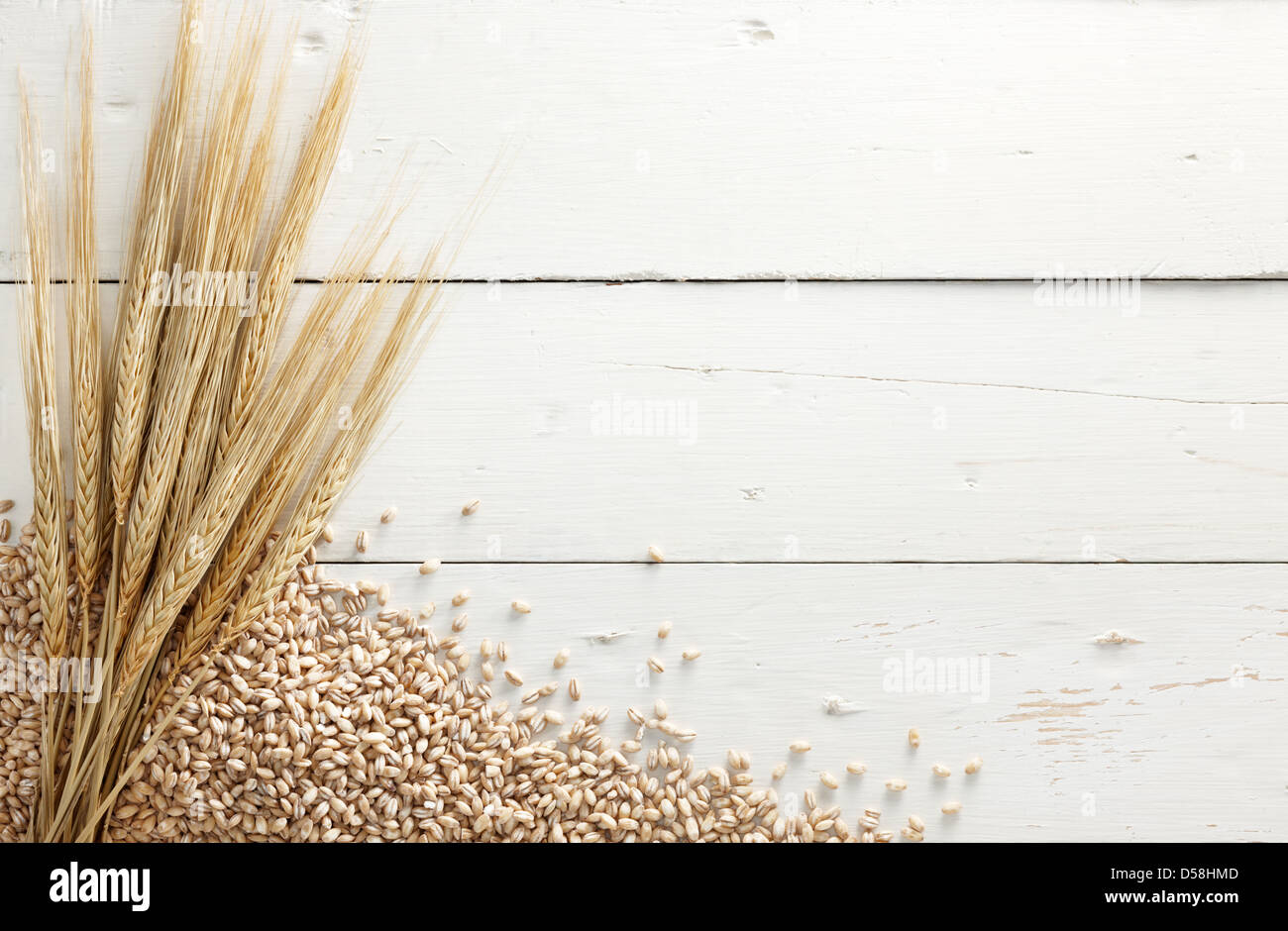 Barley Background