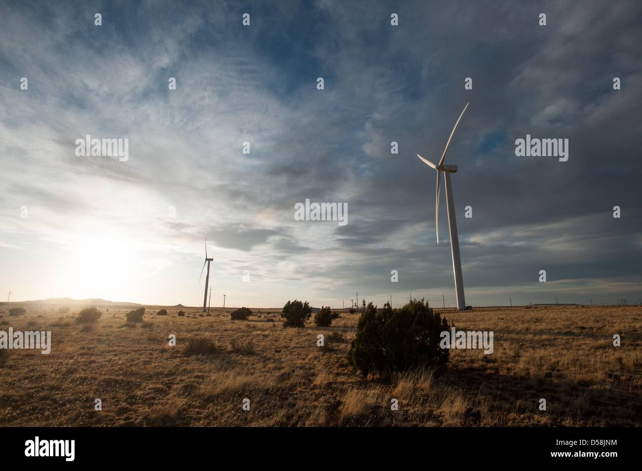 Snowflake arizona hi-res stock photography and images - Alamy