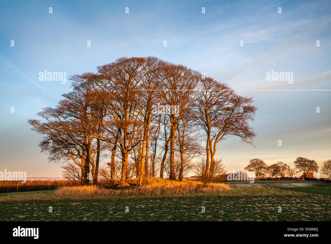Dawn on Garrowby Hill in the Yorkshire Wolds, East Yorkshire Stock ...