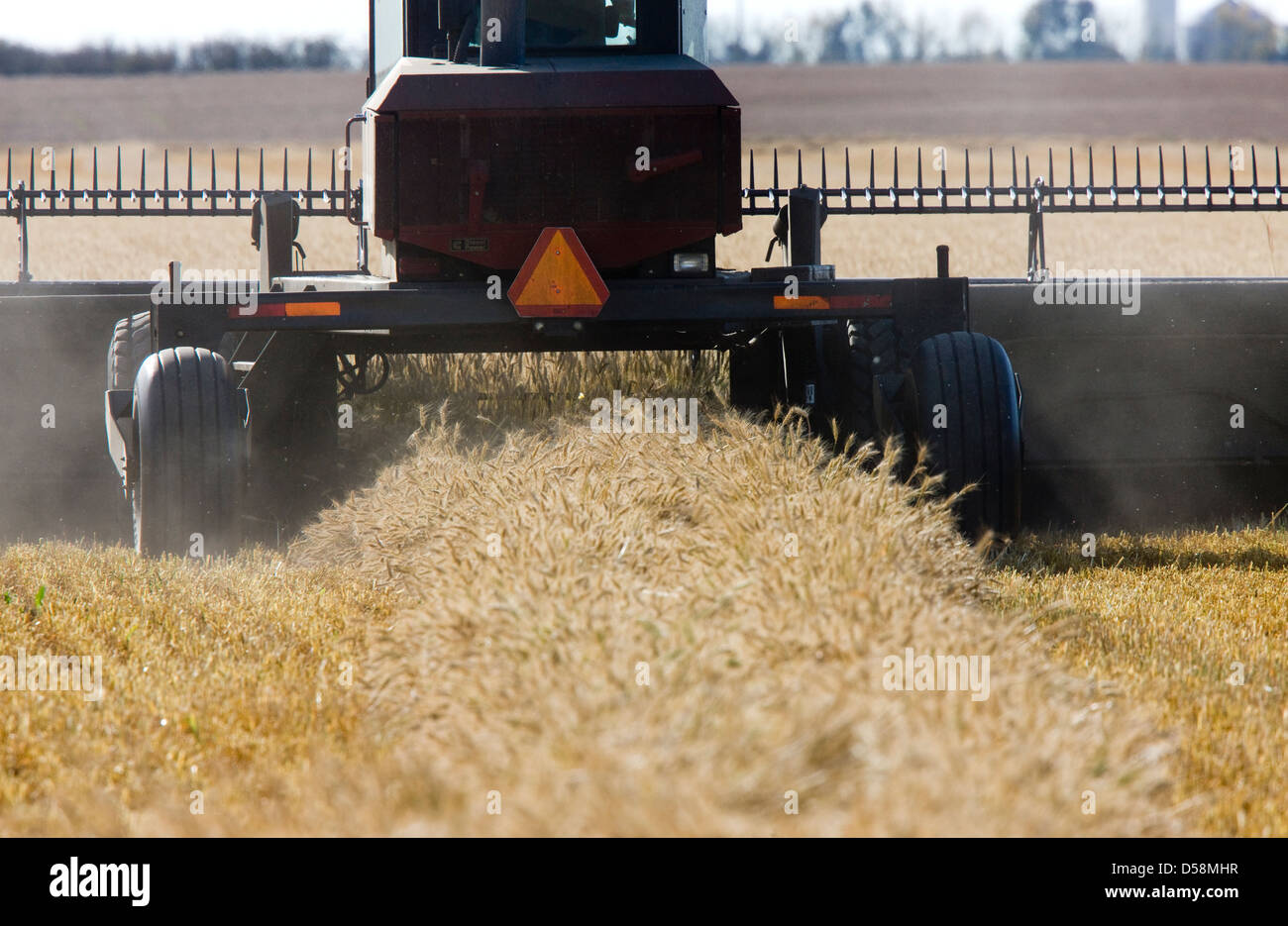 Harvest Combining Saskatchewan in the fall bountiful crop Stock Photo ...