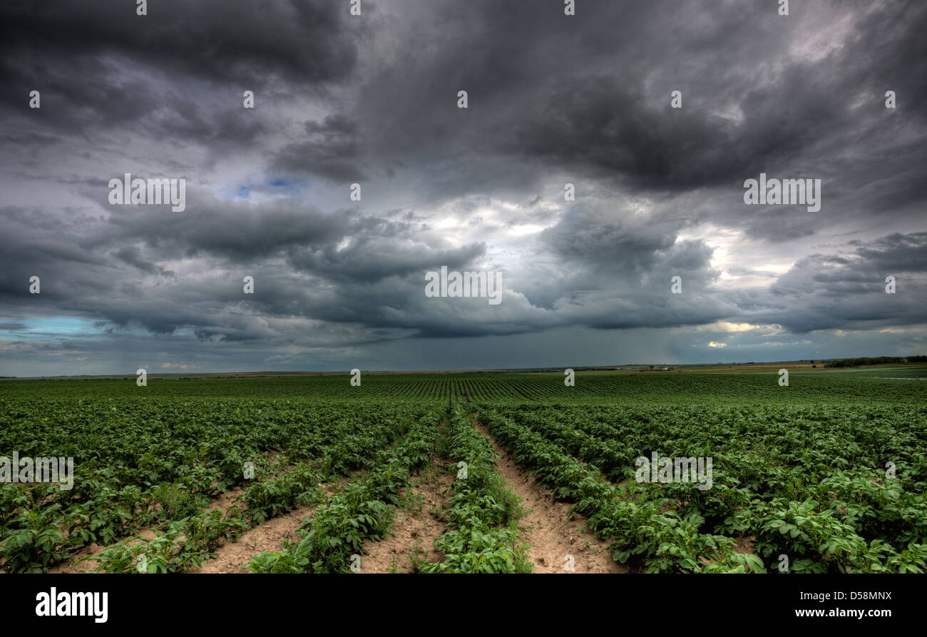 Storm over crops hi-res stock photography and images - Alamy