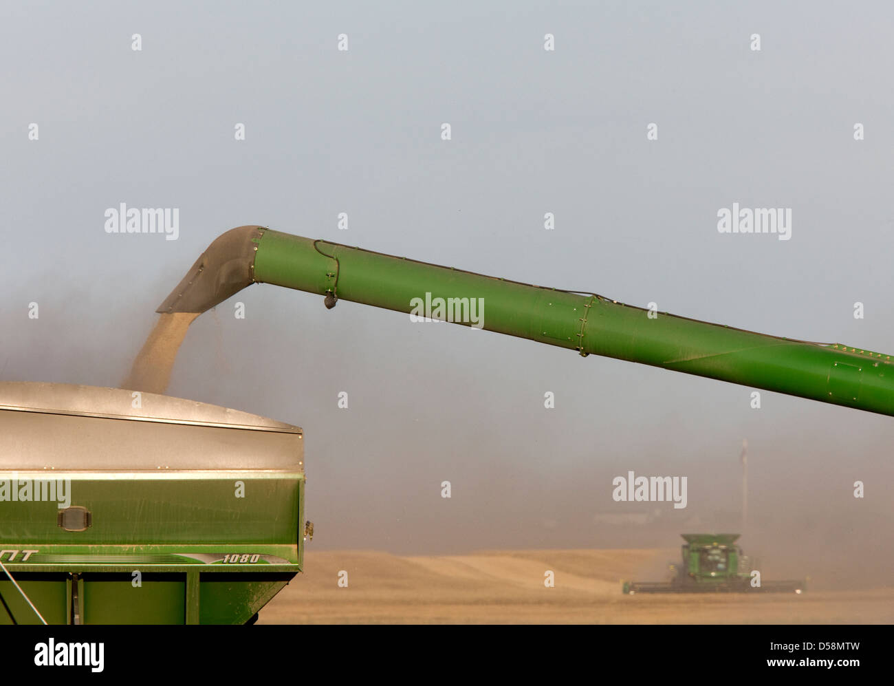 Harvest Combining Saskatchewan in the fall bountiful crop Stock Photo ...