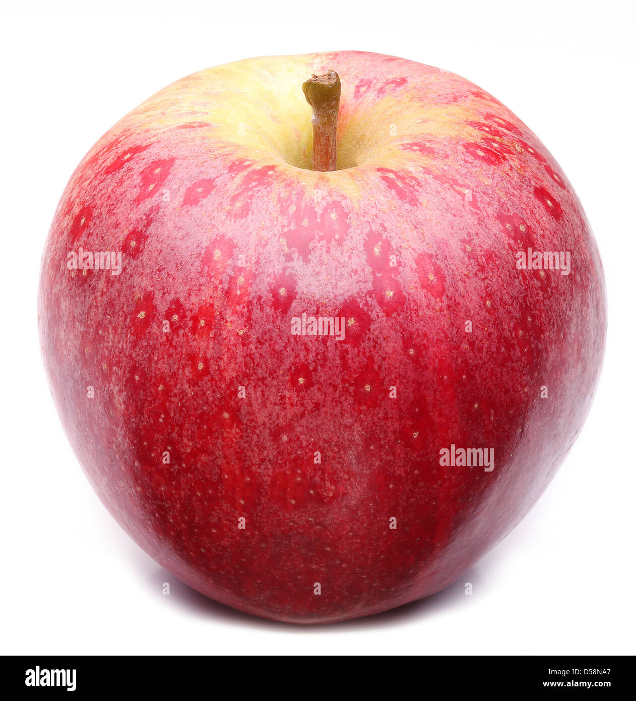 Red apple on a white background Stock Photo - Alamy