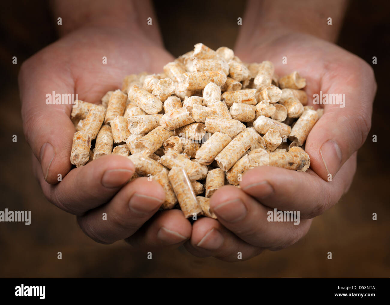 Alternative fuel: Pellets made from industrial wood waste. Short depth ...